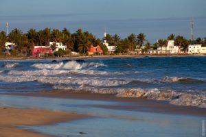 14 Fascinating Facts About the Galápagos Islands